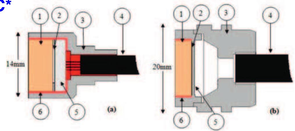Schematic drawing of (a) the du-wf and (b) the enpc