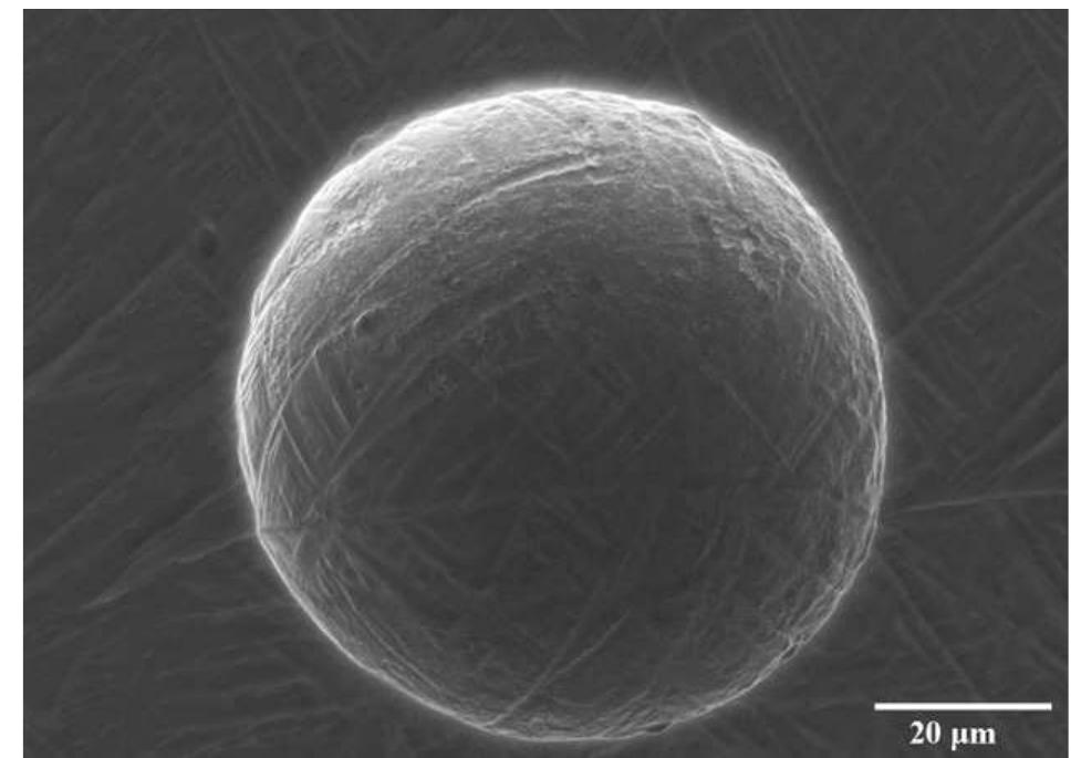 Scanning electron micrograph of the inner surface of a small
