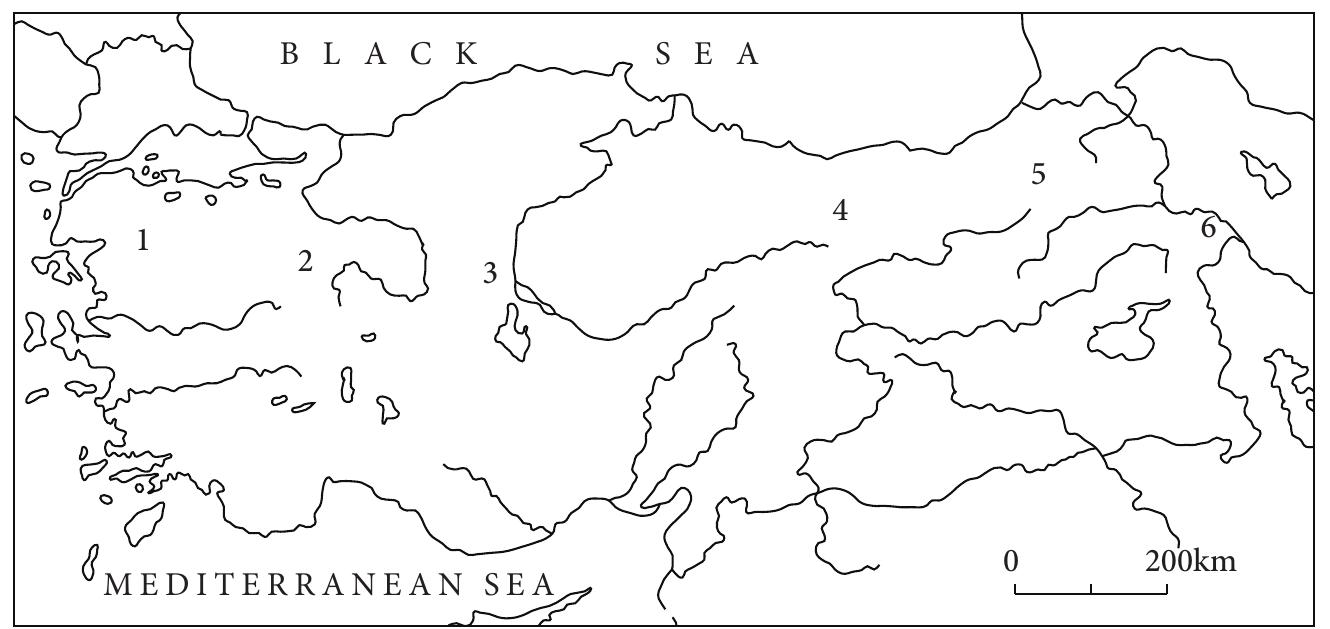Six regions of turkey formed 5 longitudes as stated by yigit