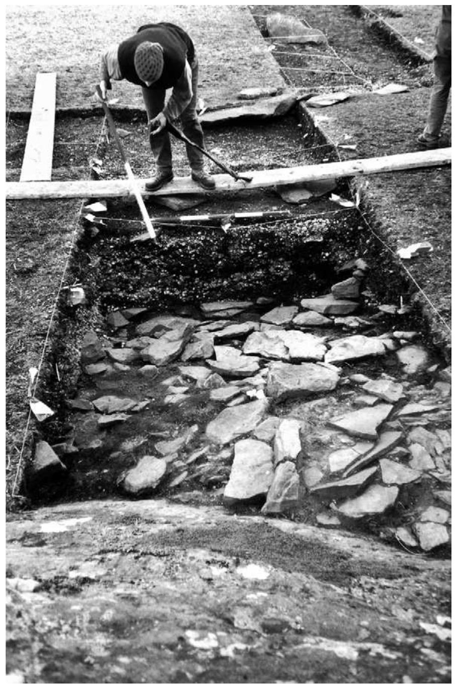 Mesolithic shell midden in the rockshelter at sand,