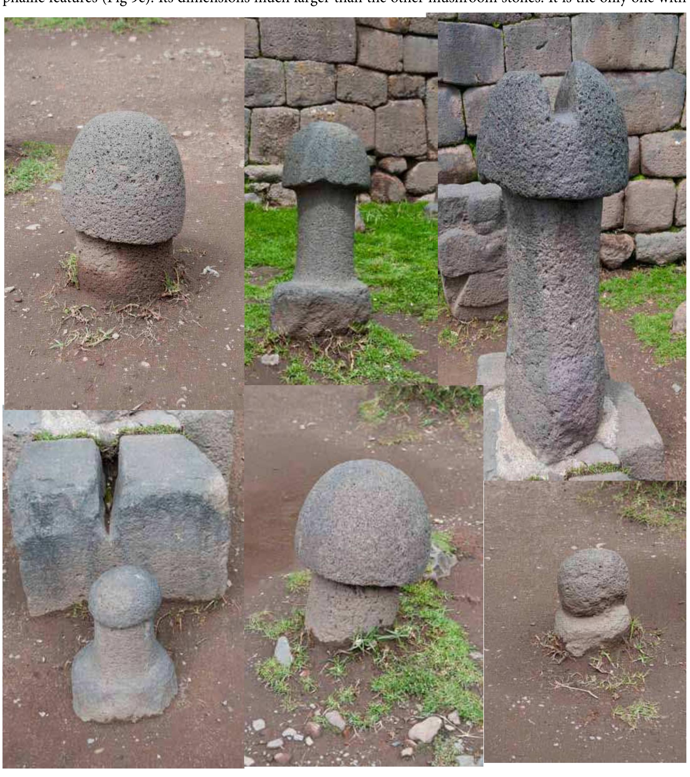 (PDF) The Forgotten Mushrooms of Ancient Peru