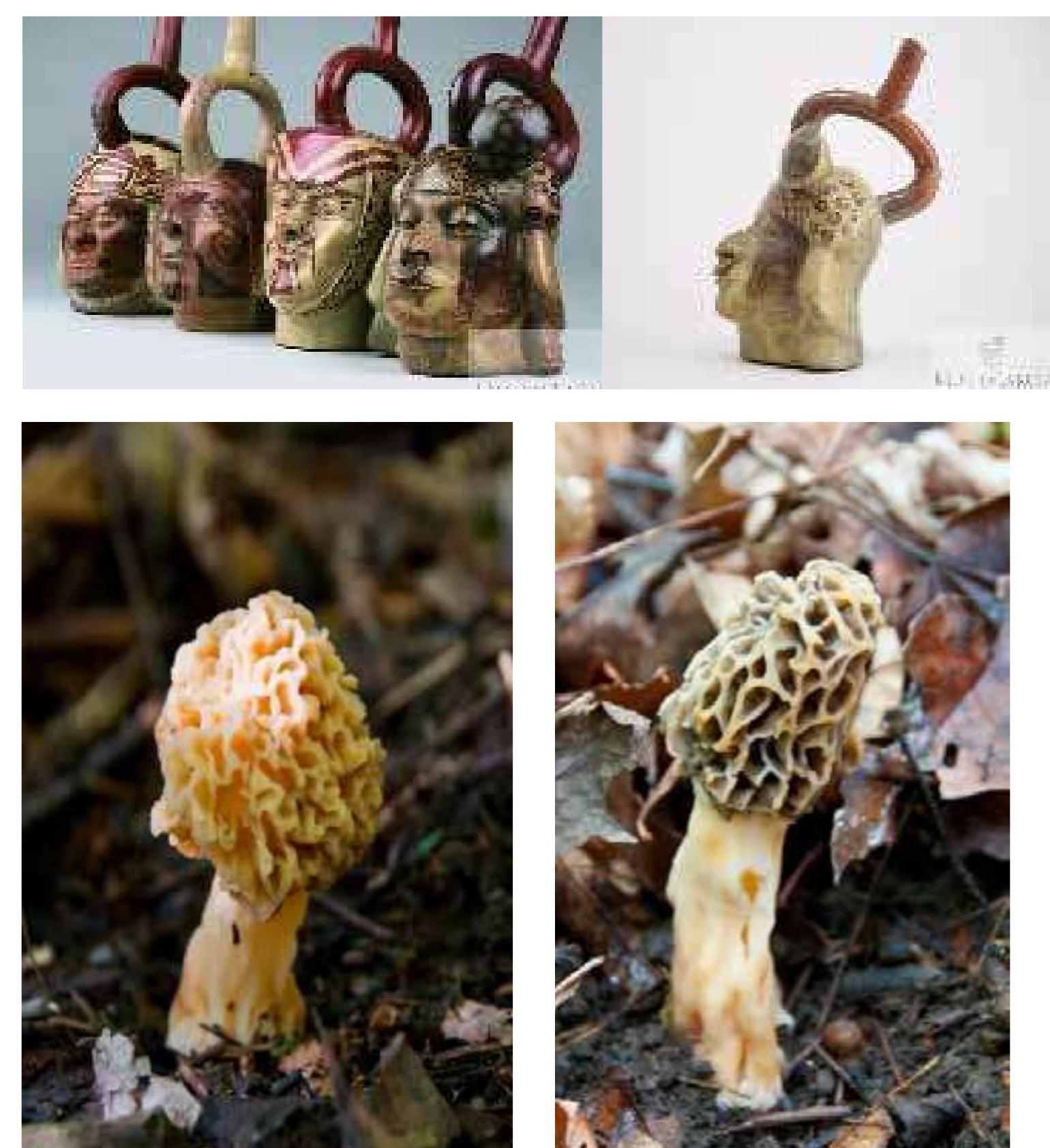 (PDF) The Forgotten Mushrooms of Ancient Peru