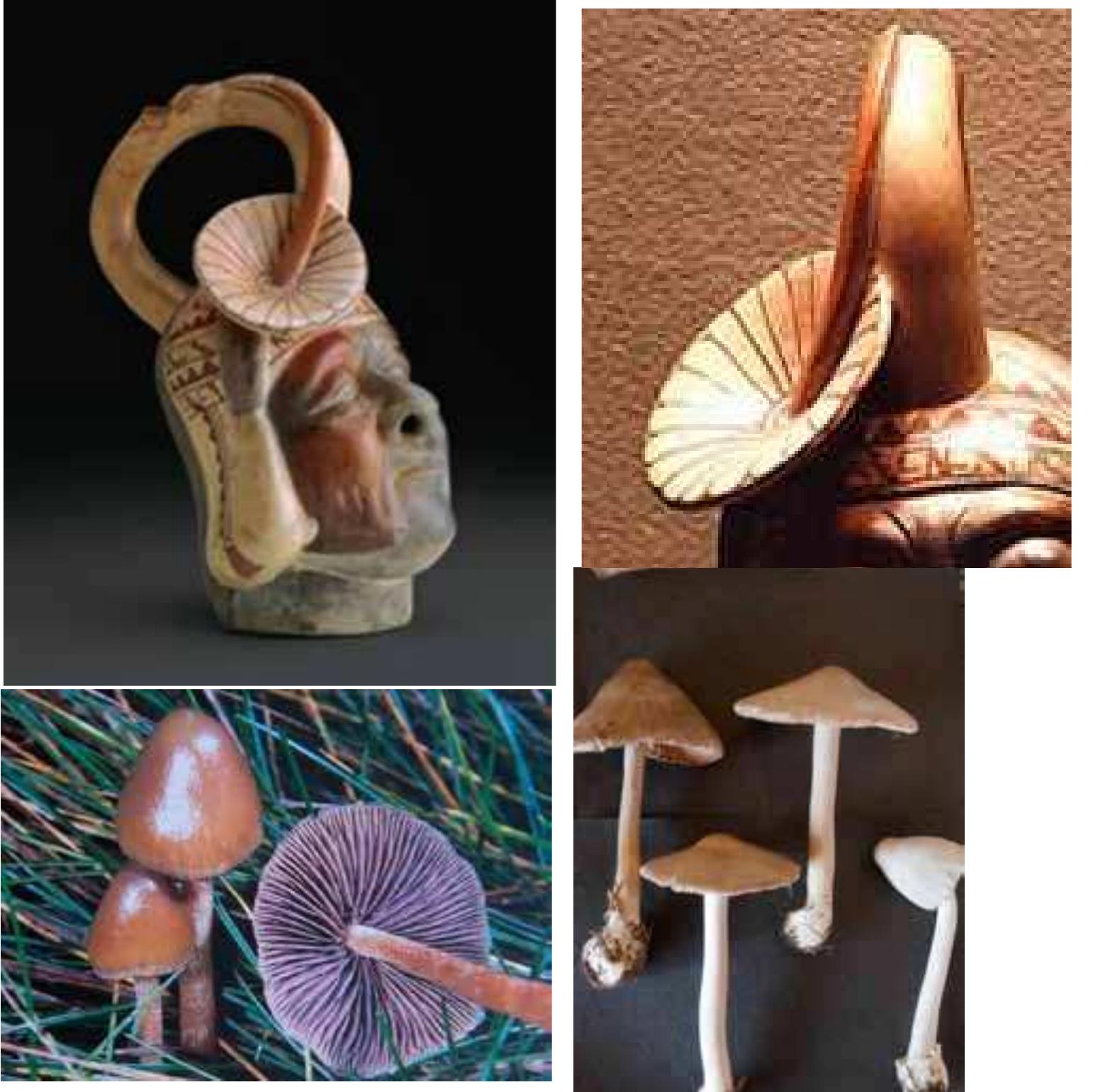 (PDF) The Forgotten Mushrooms of Ancient Peru