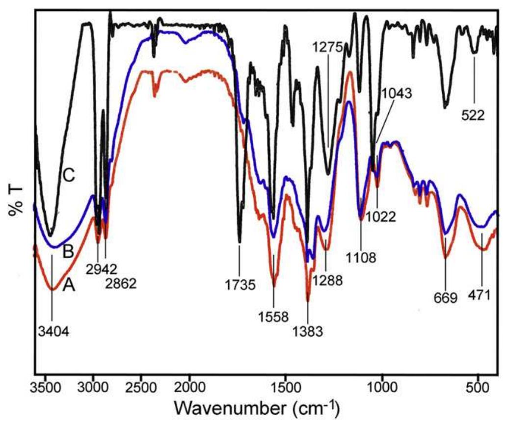Ftir spectra of zirconia—polyether glycol hybrid films. a: