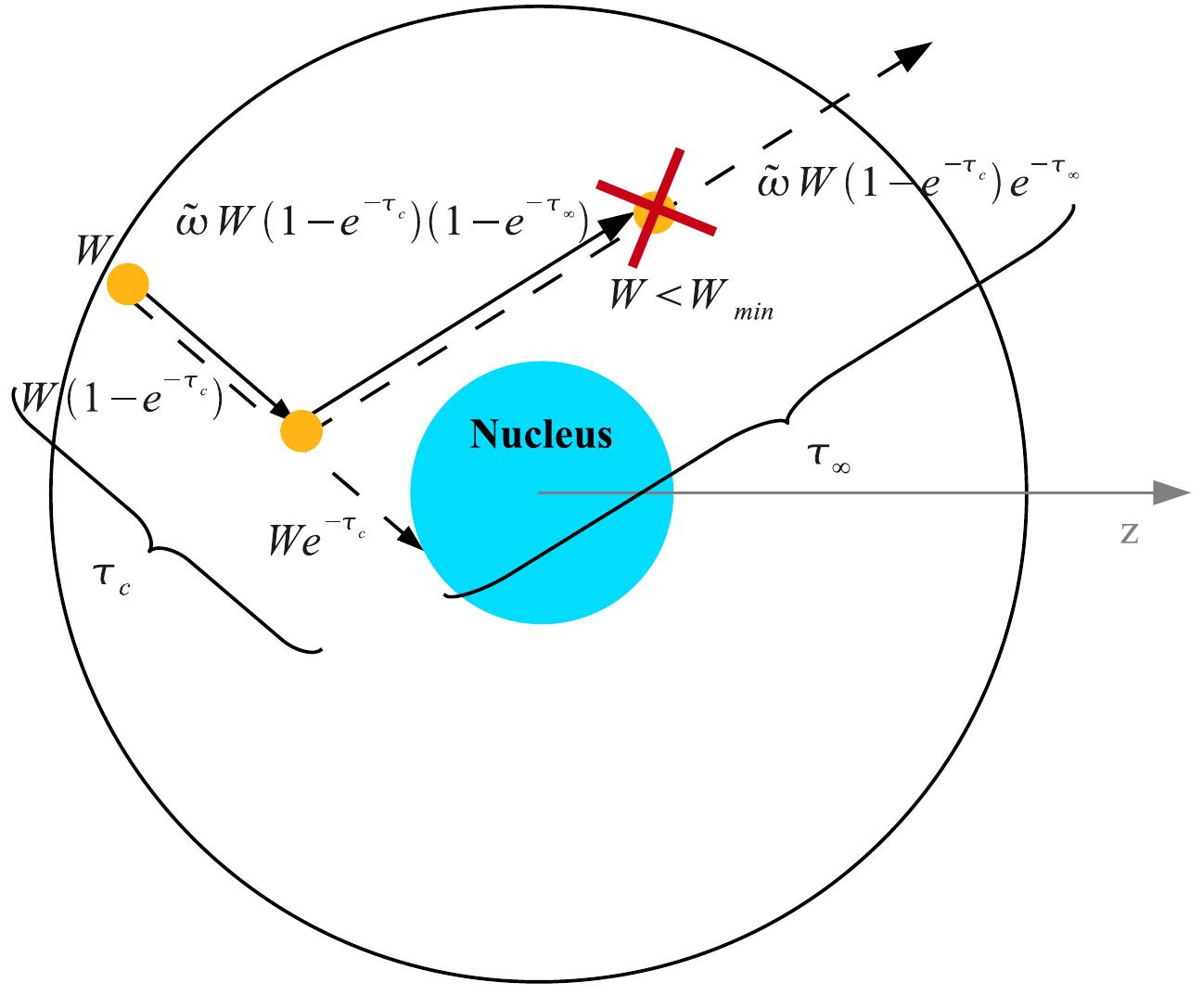 5: evolution of the weight of a packet of photons. the