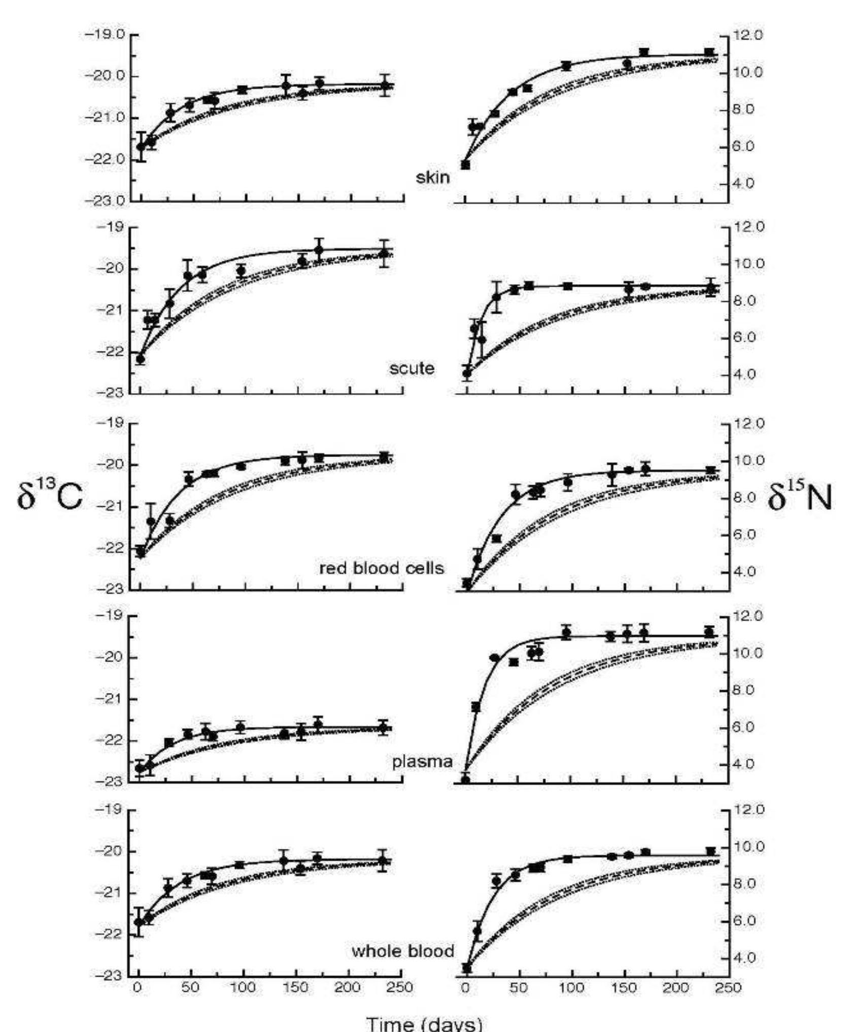 Figure 4 - Sea Turtle Life History Patterns Revealed Through