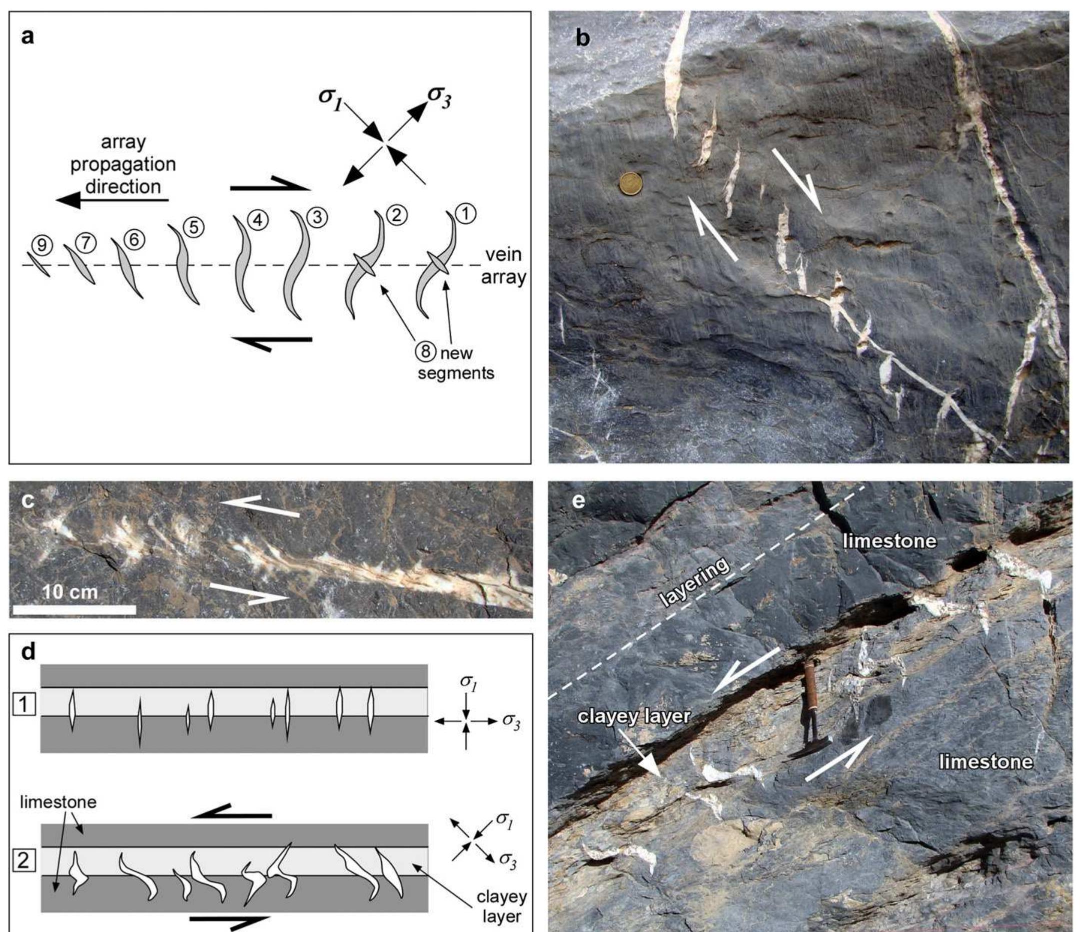 A review of the formation of tectonic veins and their microstructures