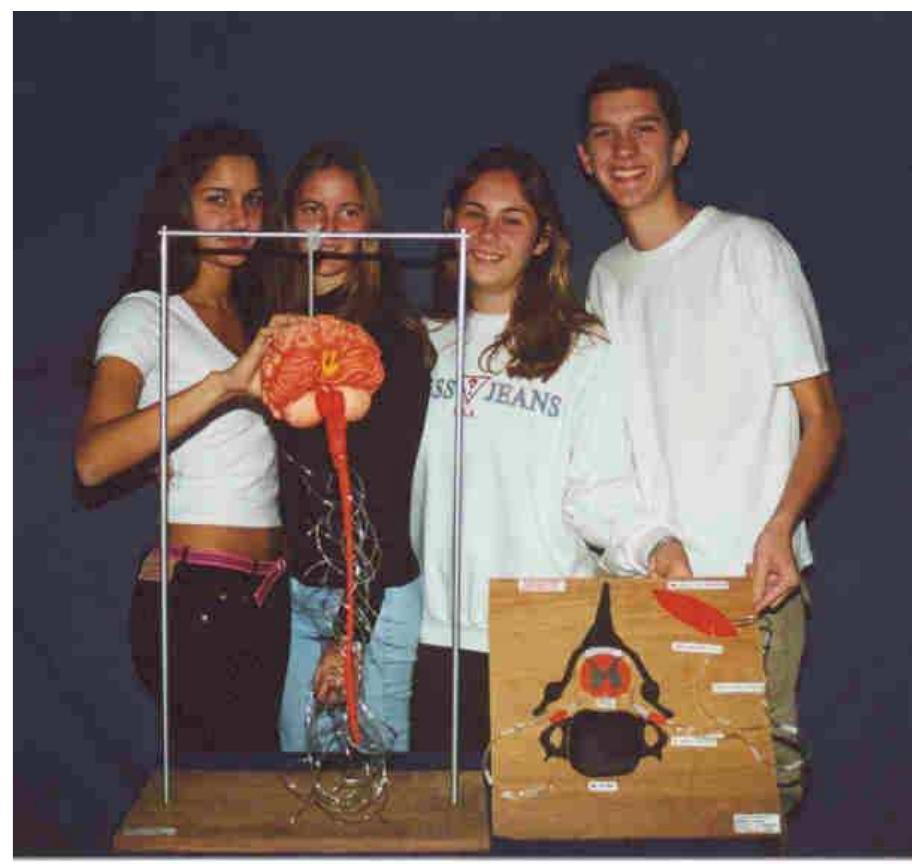 3d models of the nervous system. a. central nervous system