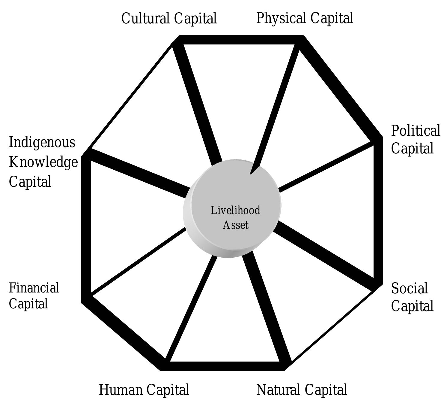Newly developed livelihood sustainability framework for