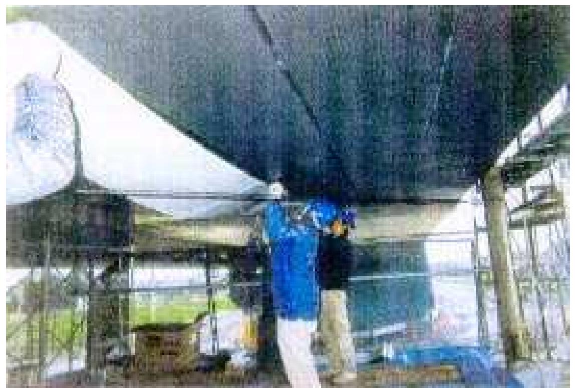 1.22. application of longitudinally aligned tow sheet to