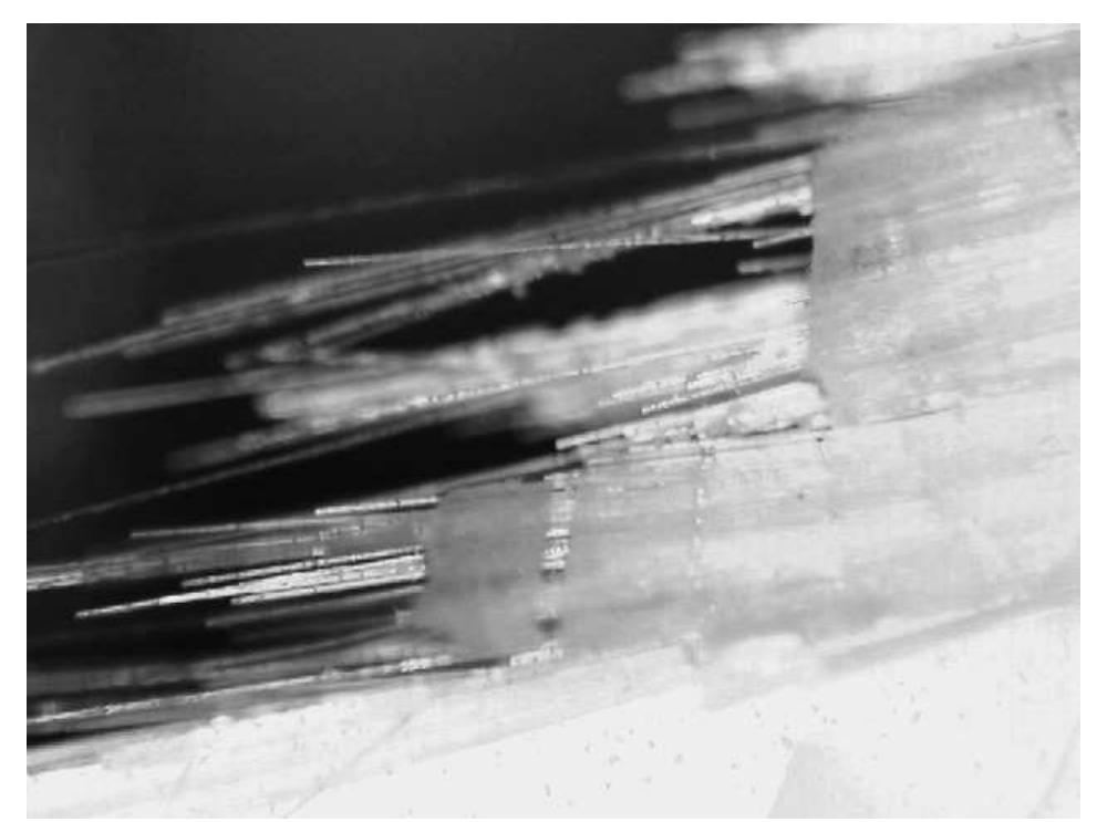 - optical micrograph showing fiber rupture and pull-out in