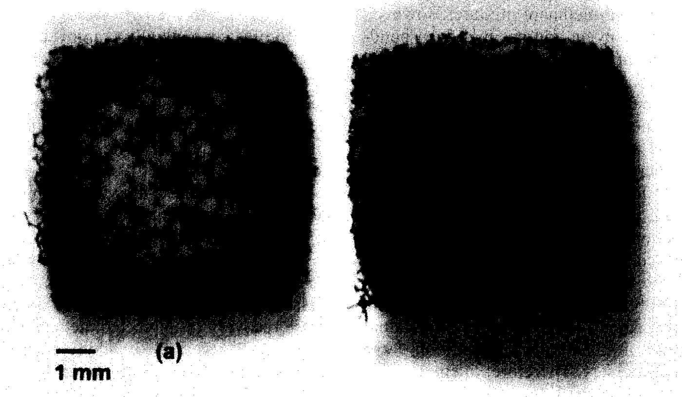 , 5. micrographs of surface (a) and cross-section (b) of a