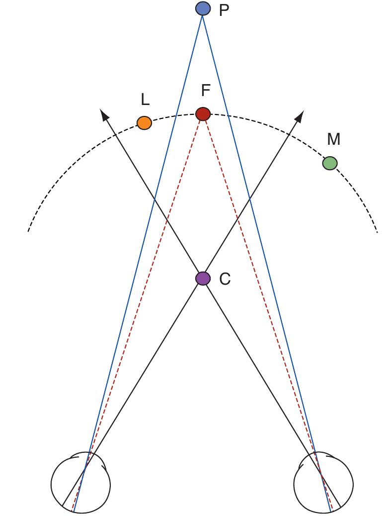 The horopter and crossed vs. uncrossed disparities. the