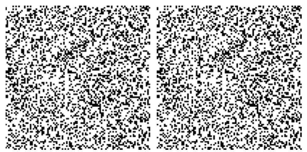 A random-dot stereogram image similar to that presented by