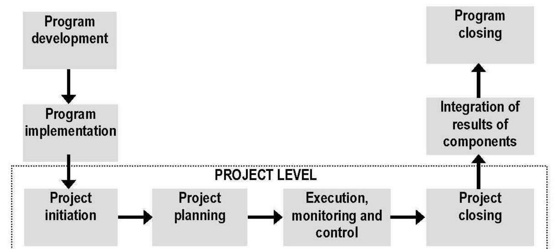 Structure of program management processes portfolio