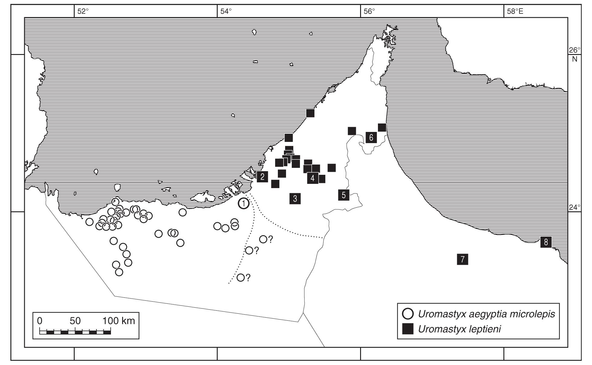 Figure 6 - from WILMS, T. & W. BÖHME (2007): A review of the