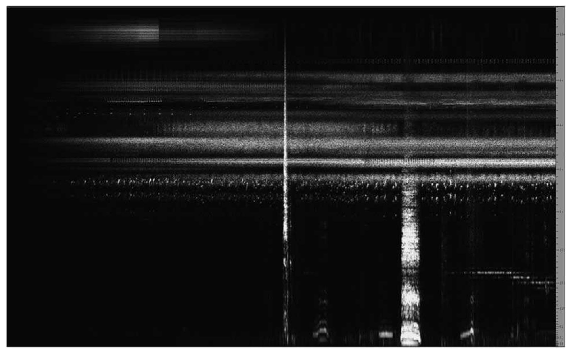 Spectrogram output from integrated ecosystem by david