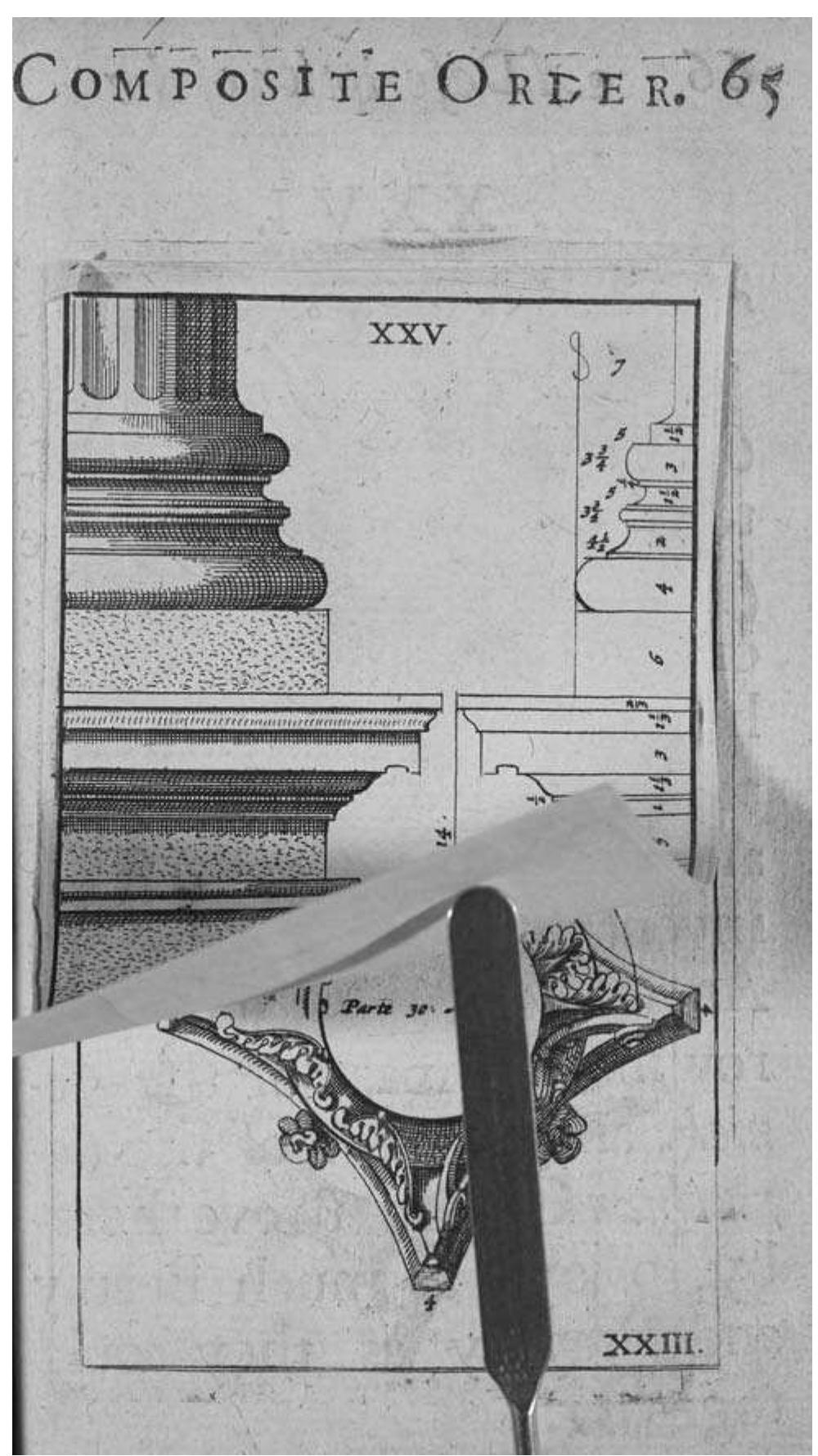 Figure 15 - from “A Renaissance without Order: Ornament,