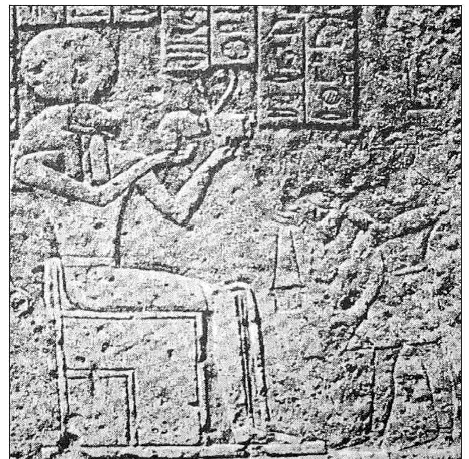 ‘ig. s. detail from piankhy’s sandstone stela depicting the