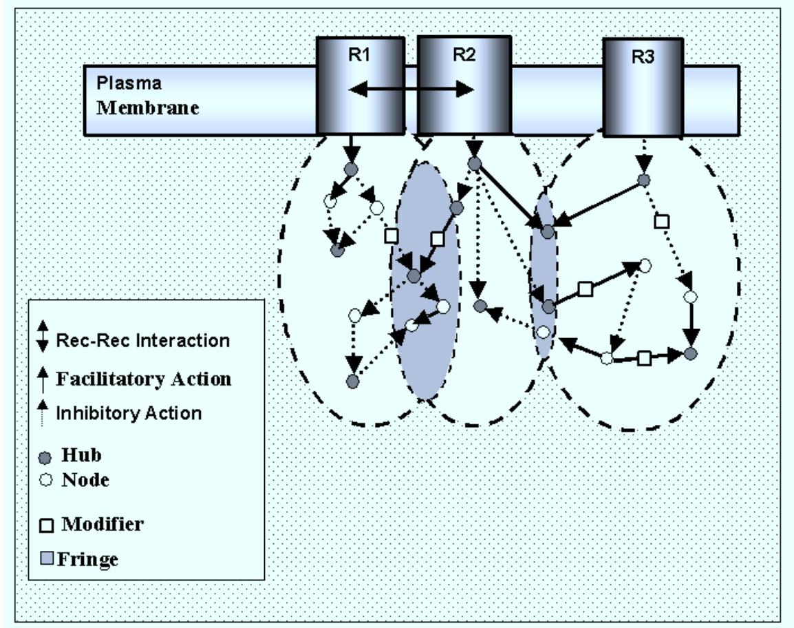 ‘ig. 11. schematic representation of fringes between