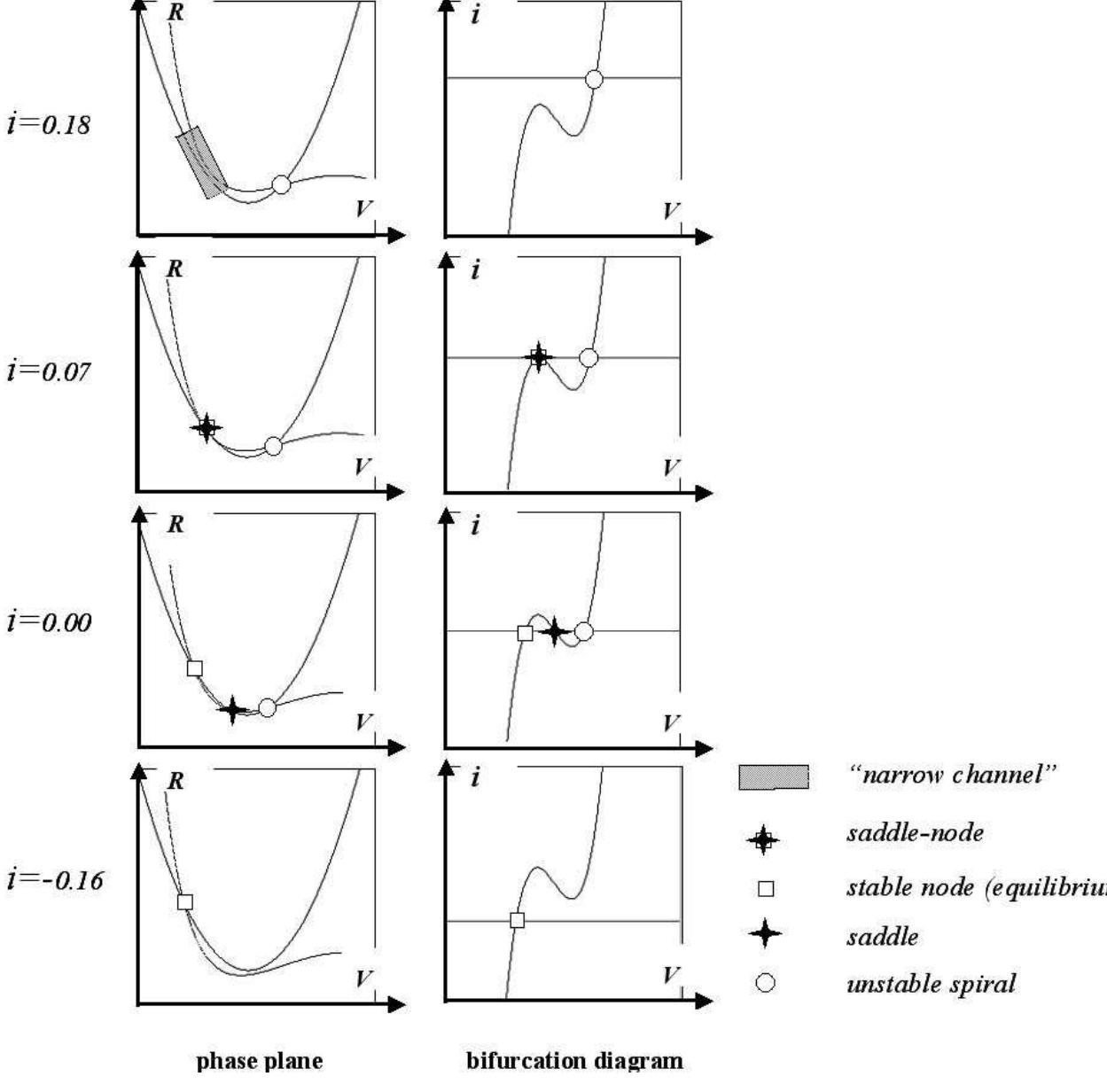 Phase diagram of the connor-rose-hindmarsh model. as the