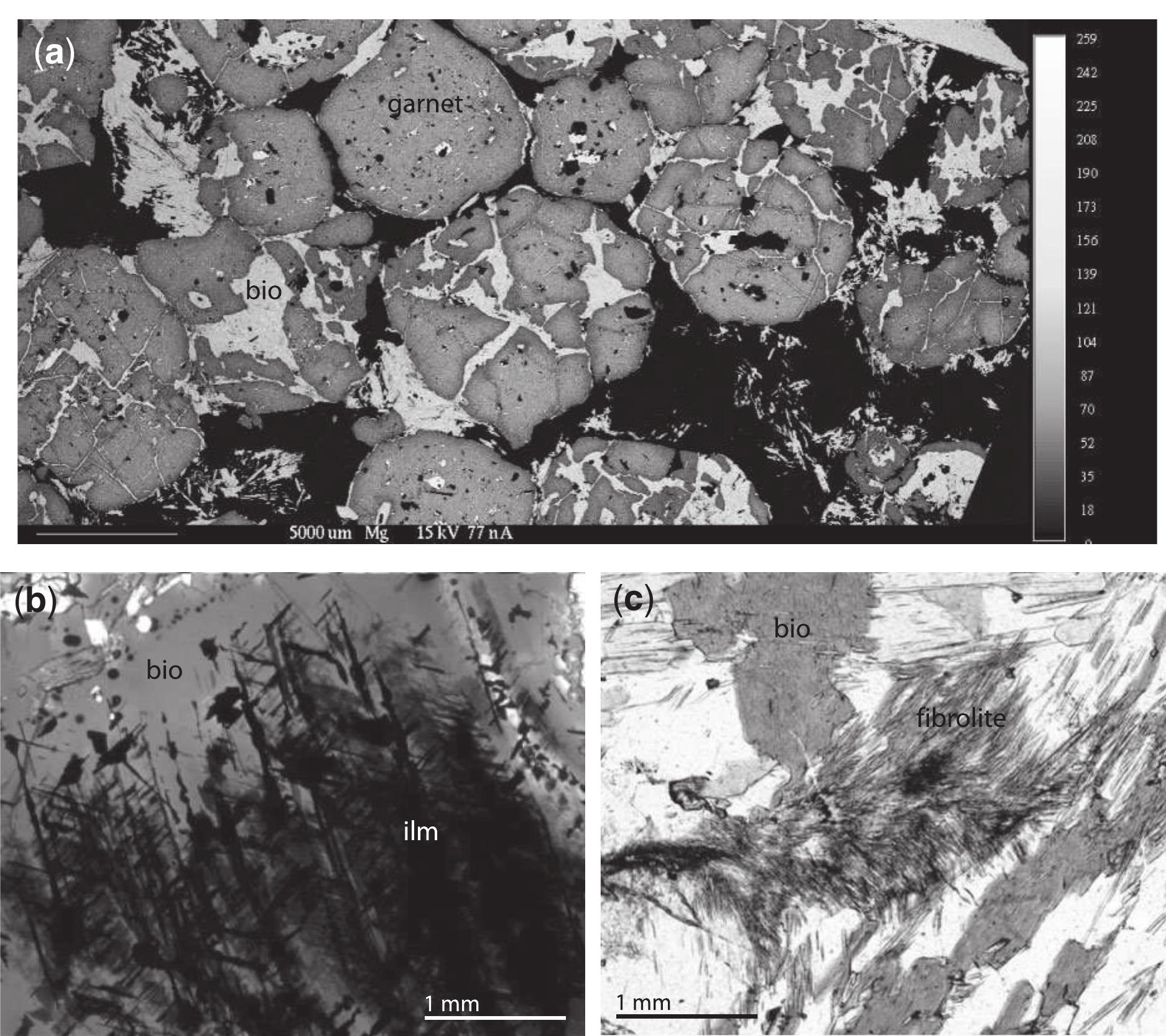 (a) mg ko x-ray map of garnetite sample cp-4g. bright