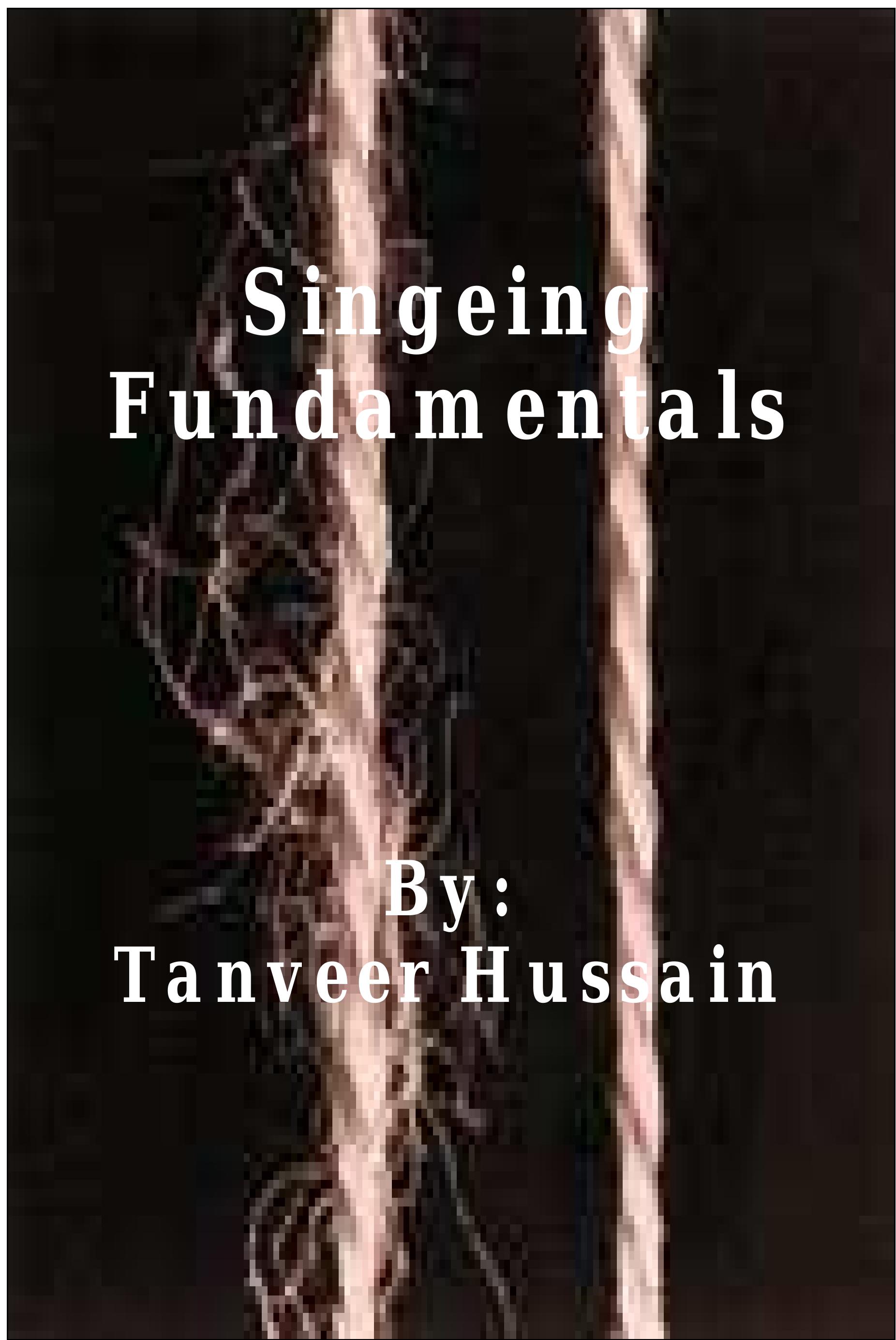 Figure 1 - Singeing Fundamentals