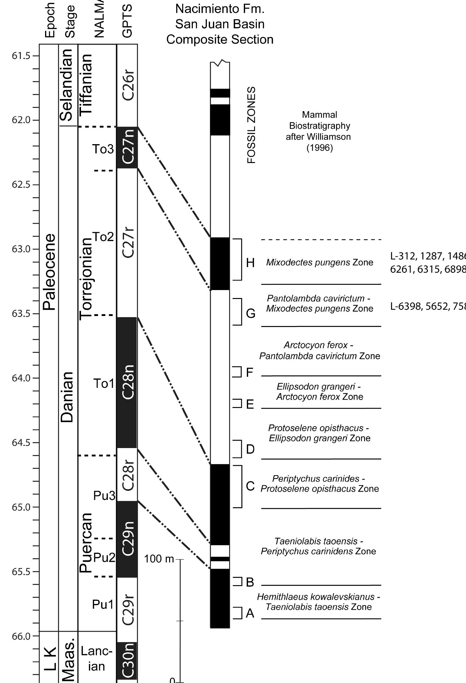 Figure 2 - New species of Peradectes and Swaindelphys
