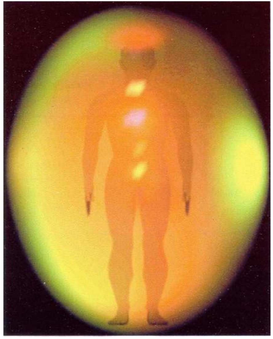 Energy in a human body