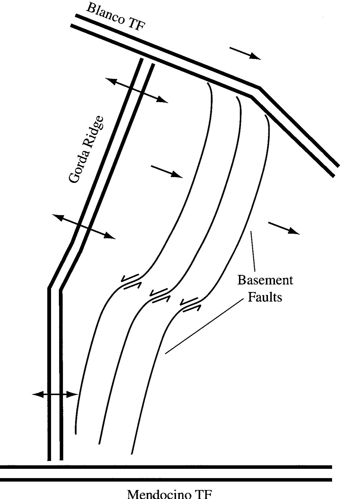 Line drawing of the structural interpretation for the