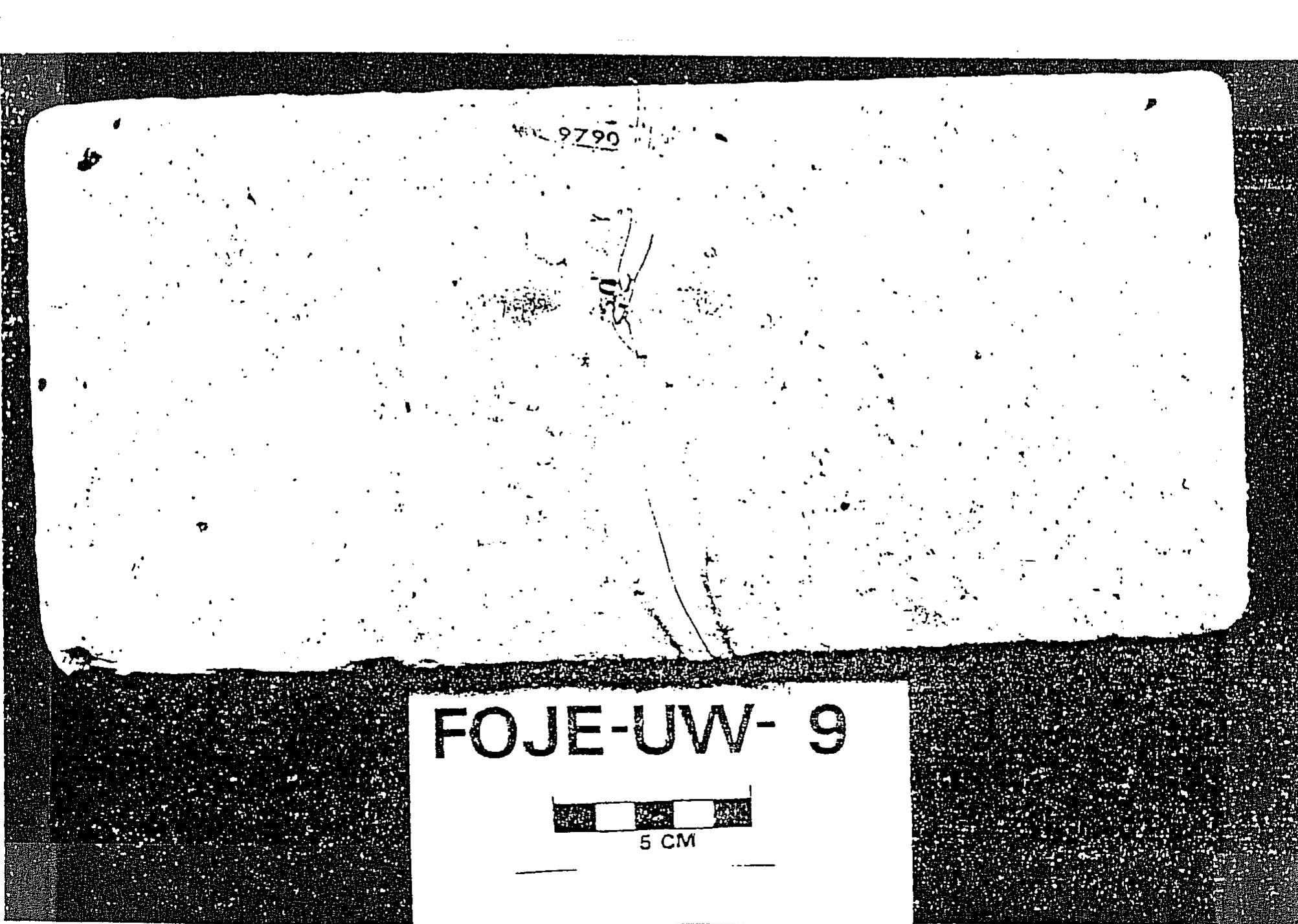 Ladrillo from alleged nuestra sefiora de rosario wreck.