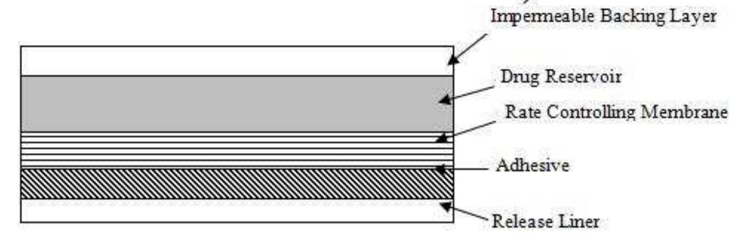Design of membrane moderated transdermal patch the primary