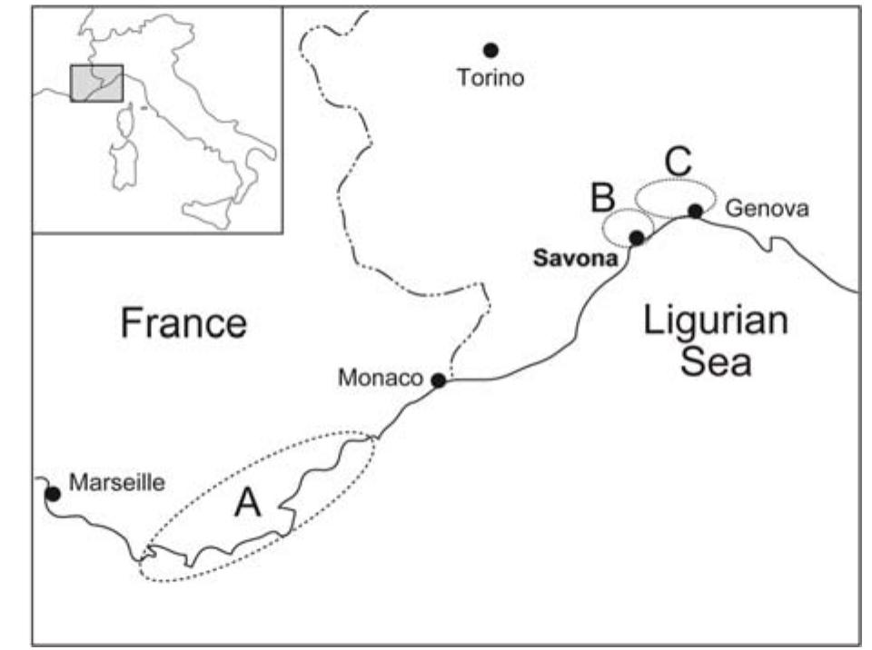 Geographic sketch map showing location of savona and