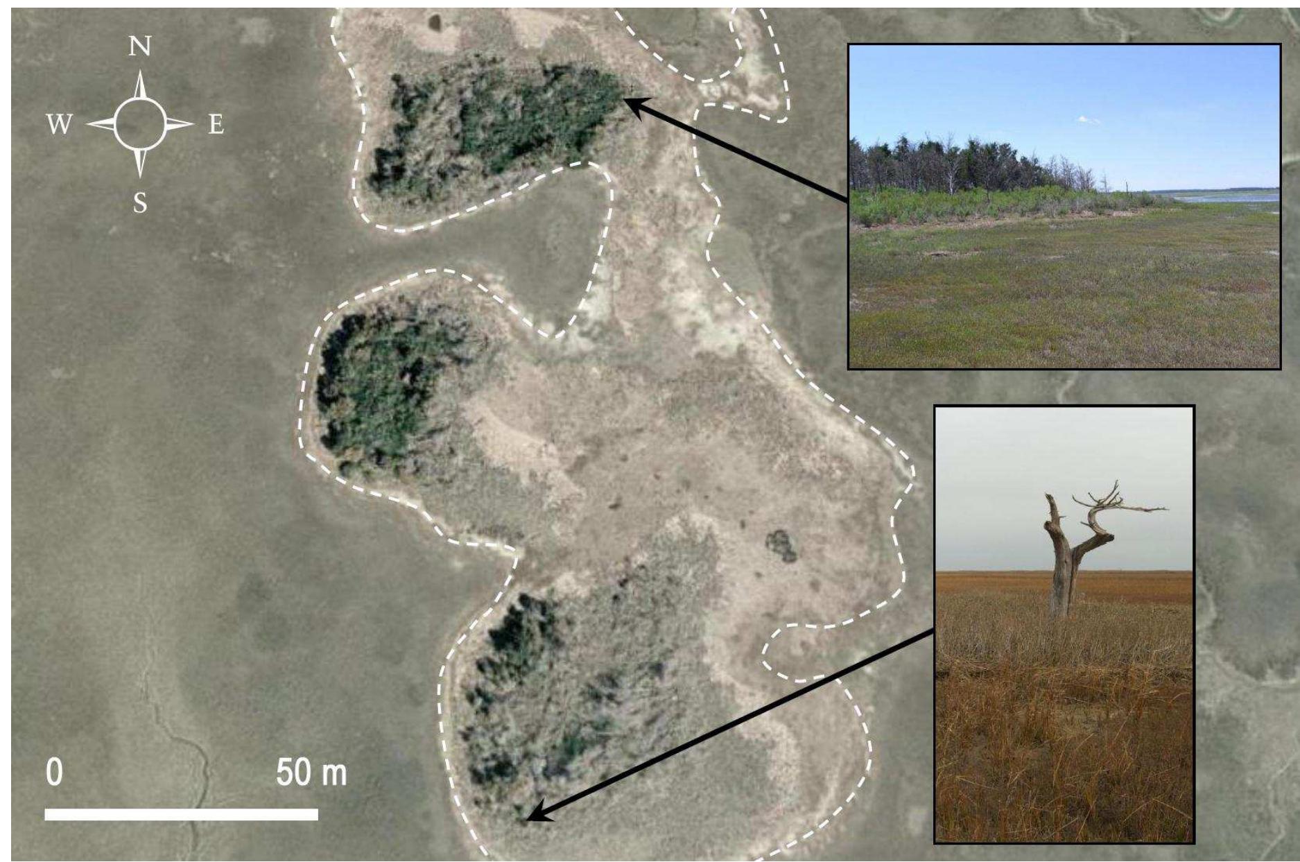 7. the image shows an aerial view of several upland hummocks