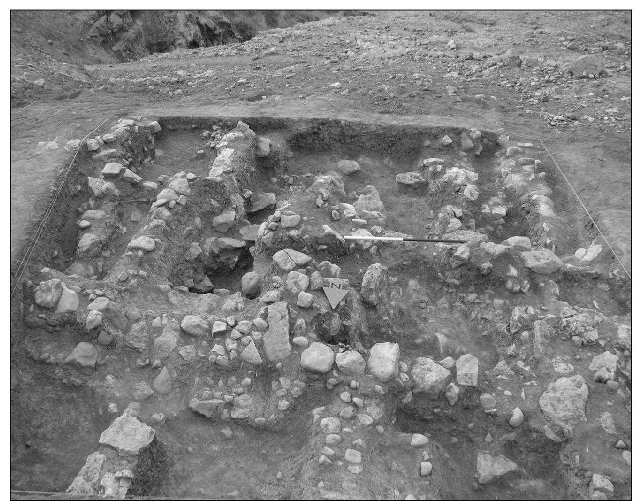 Shows the numbers of each species identi- fied for each