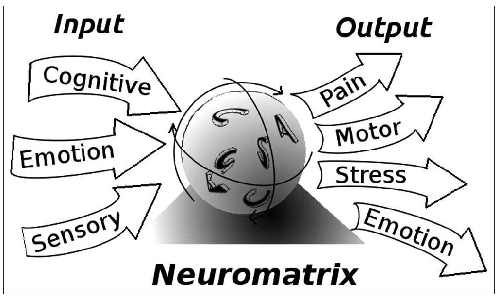 Conceptual diagram of the neuromatrix theory as a refinement