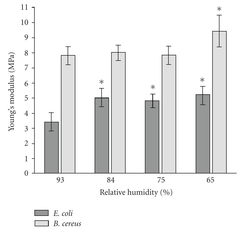 Diagram of young’s modulus distribution; *—p