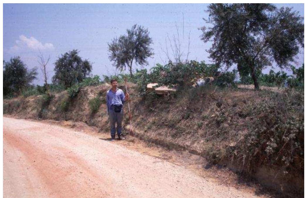 A1.21.2. léfki kald4mou: mound 123, cut by road. note ‘cover