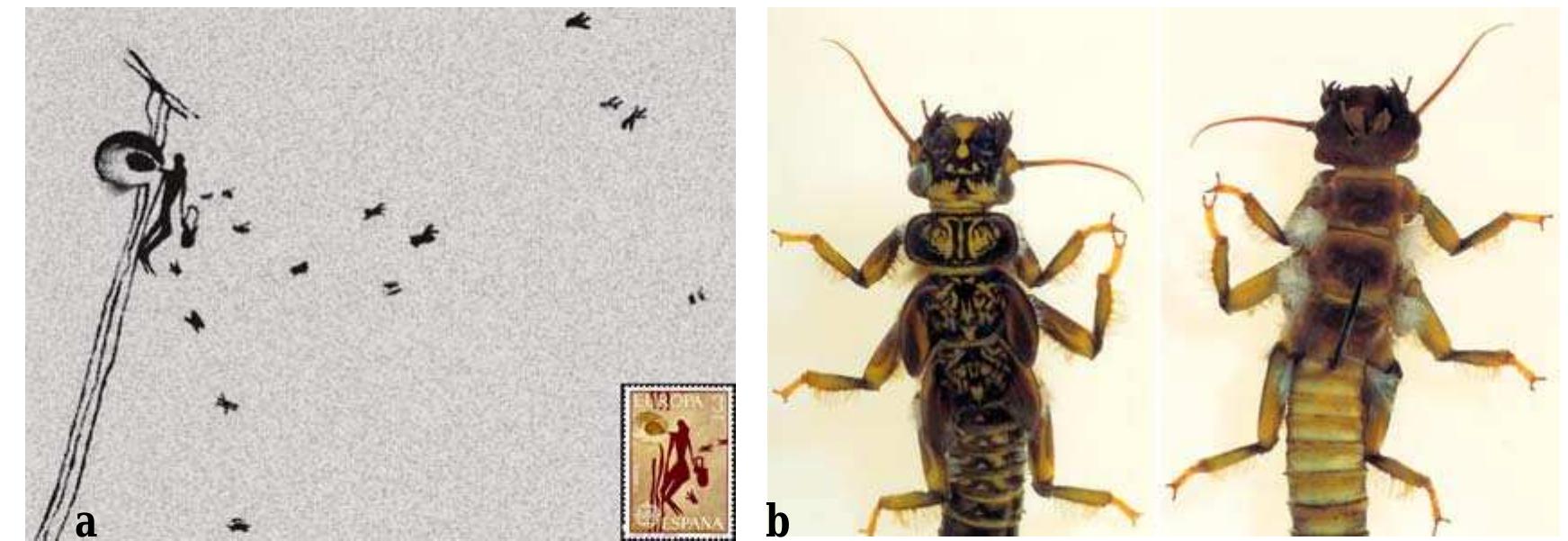 Insects and humans: a relationship recorded in visual art