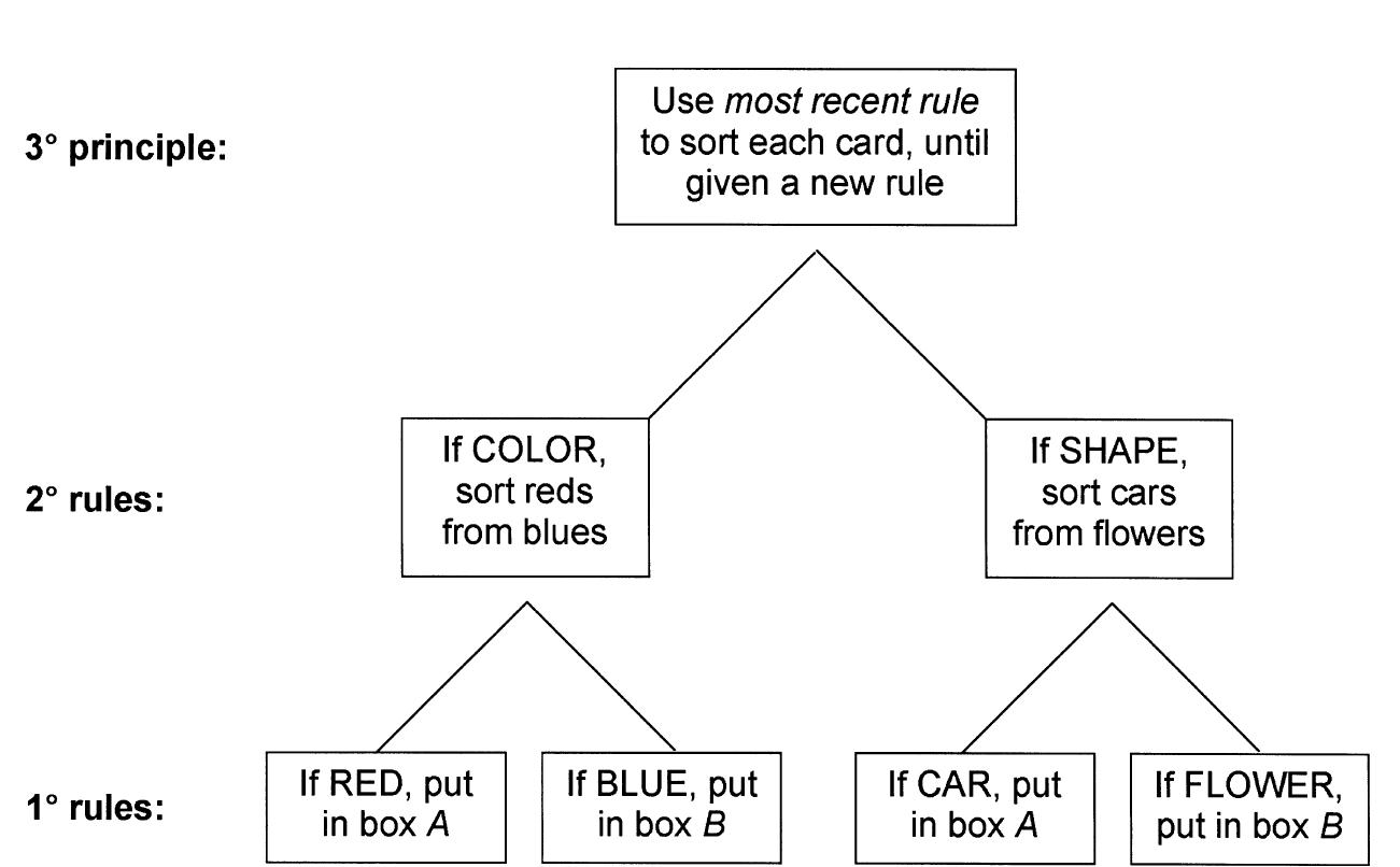 Illustration of levels of complexity of the contingencies
