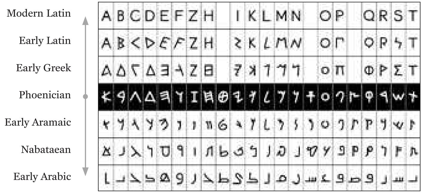 Simplified diagram showing evolution of european and arabic