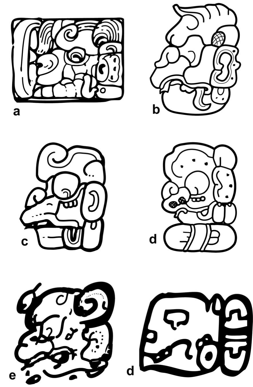 Hieroglyphic examples of the name chaahk. a) ’u-chak. copan,