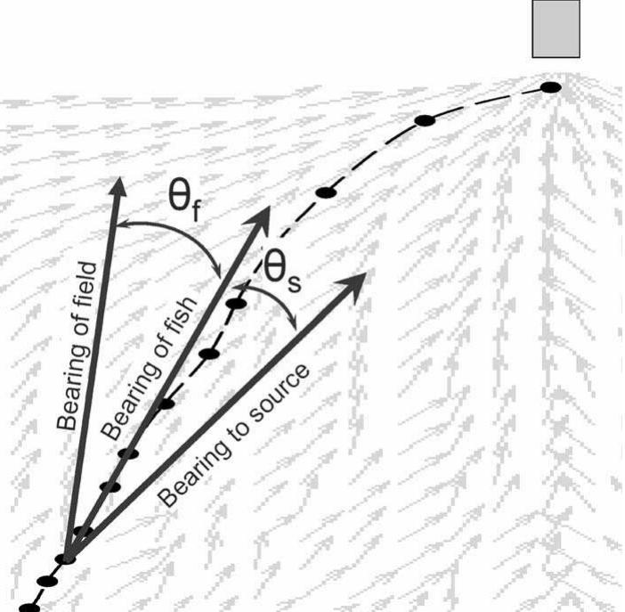 An example showing how the difference angles of the fish’s