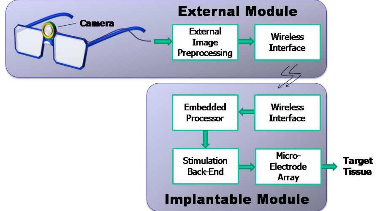 General architecture for a visual prosthesis system