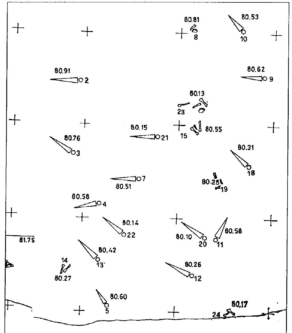 - simplified plan of main formal disposal area of