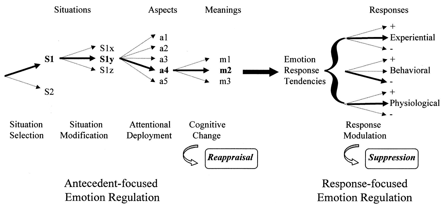 (PDF) Emotion regulation: Affective, cognitive, and social consequences