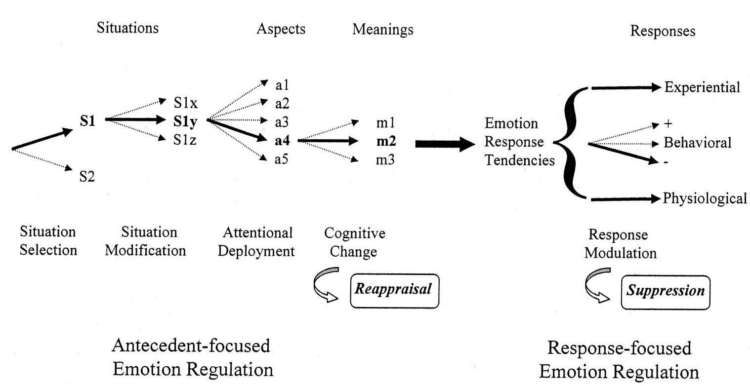 (PDF) Individual differences in two emotion regulation processes ...