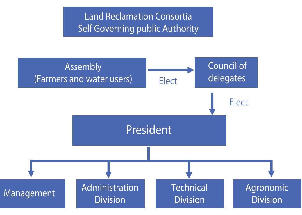 The organization structure of land reclamation consortia