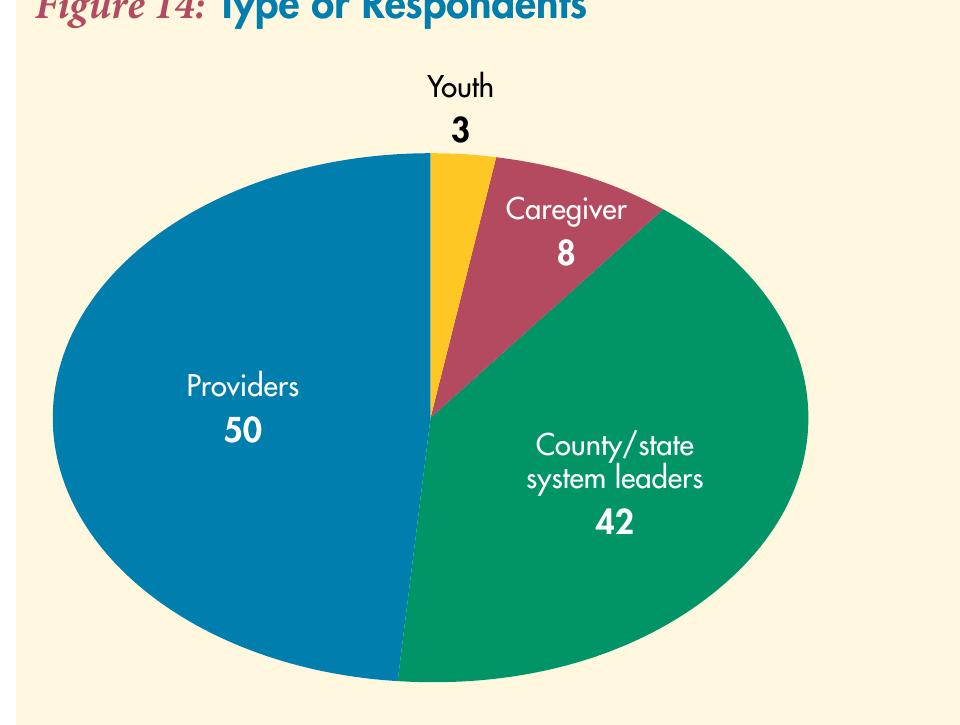 What are strengths of the use of the cafas by michigan