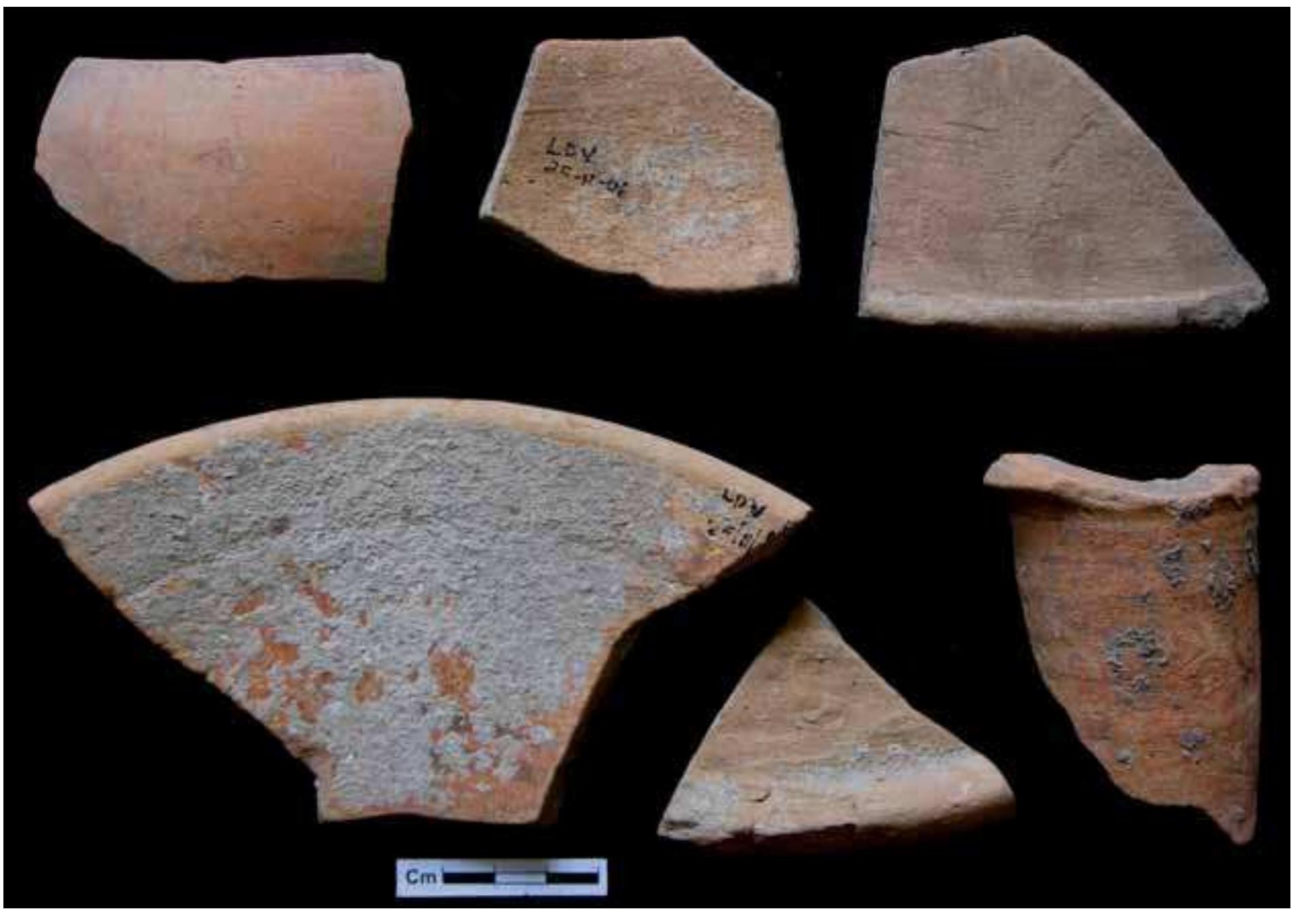 Tigurero prabhas and sorath harappan pottery from khandini